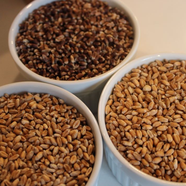 Heritage Wheat Trio Backstory – Heartland Craft Grains